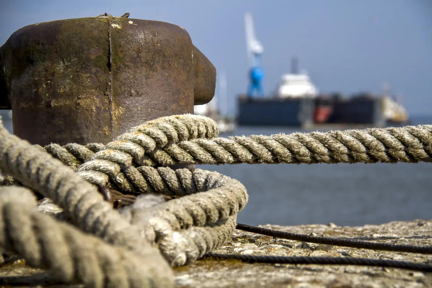 About us - Chase Company International